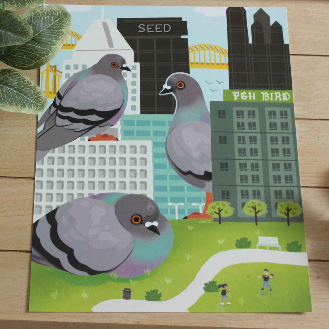 Pittsburgh Pigeons Print – Emibirdee Online Store